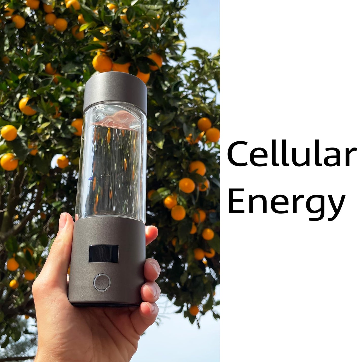 Python H2 Bionic Molecular Hydrogen Water Bottle Python